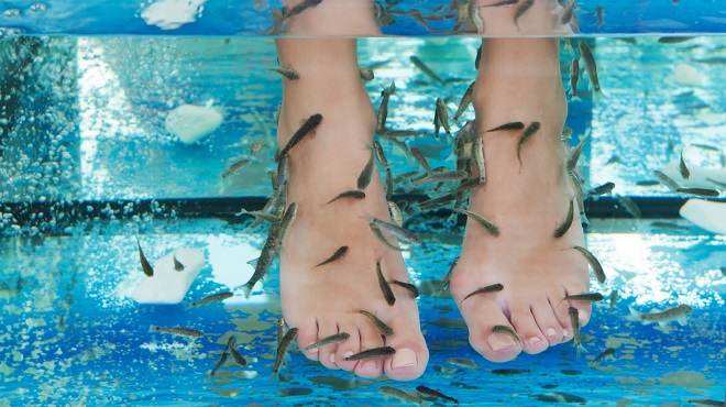 Une fish pedicure pour des pieds tout doux